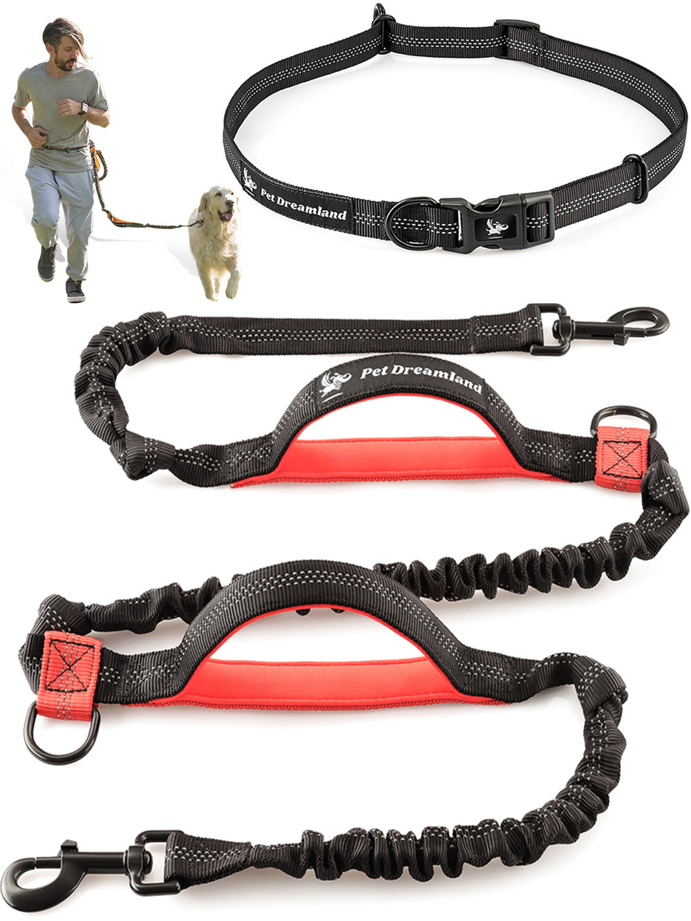Your essential guide to camping with dogs – The Ten Commandments ...